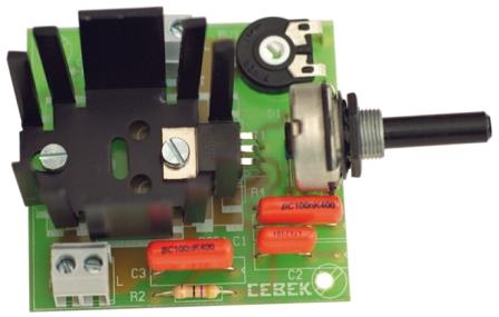 Cebek 1500W AC Motor Speed Controller | R-10
